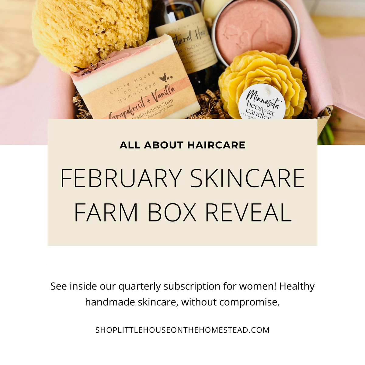 All About Haircare | February 2024 Skincare Farm Box – Little House on ...